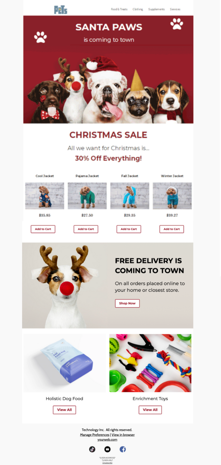 Top Christmas Email Templates for 2024 [+ Fresh Ideas] – cloudHQ